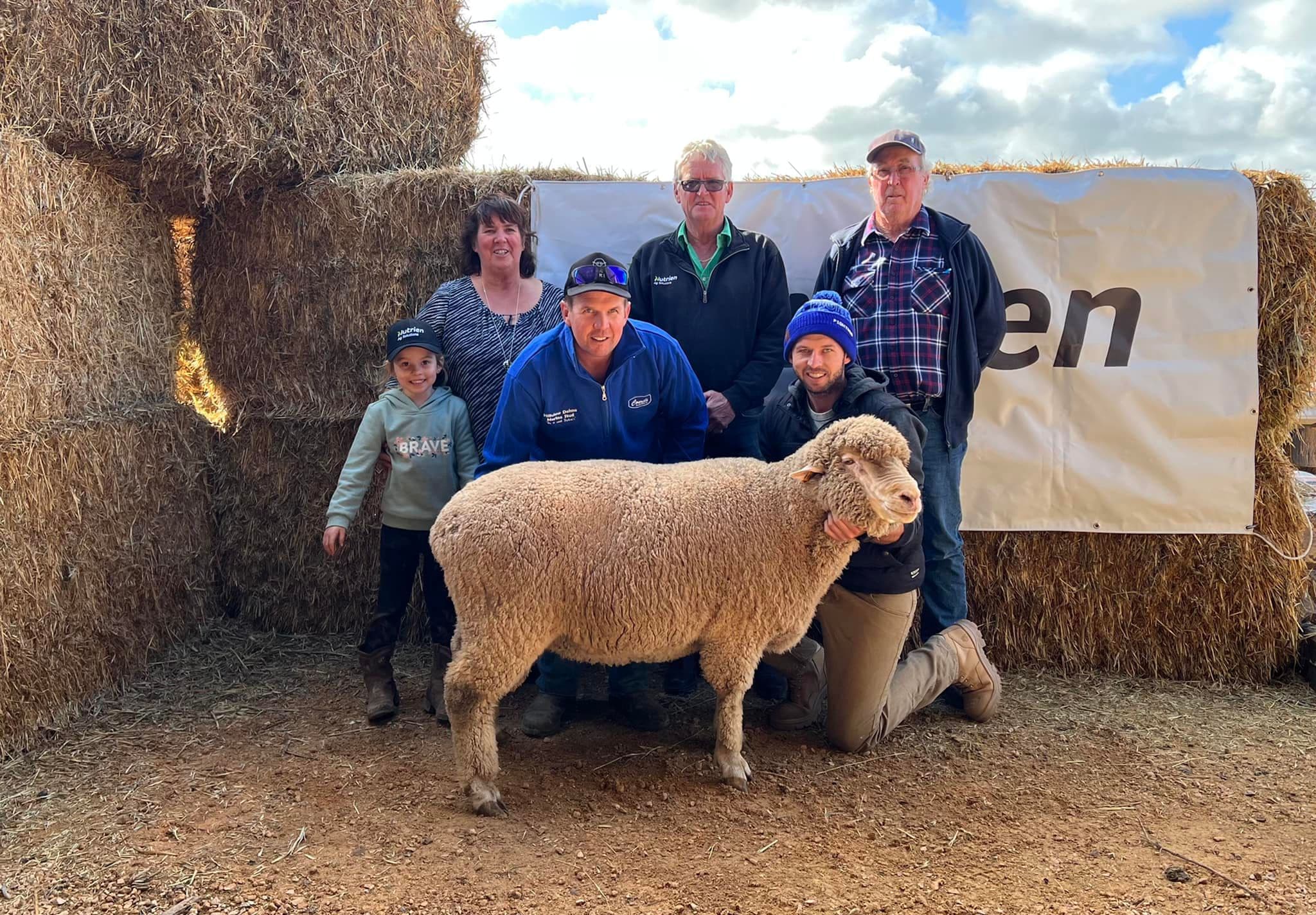 Dohne Australia – September 2022 - Dohne Merino